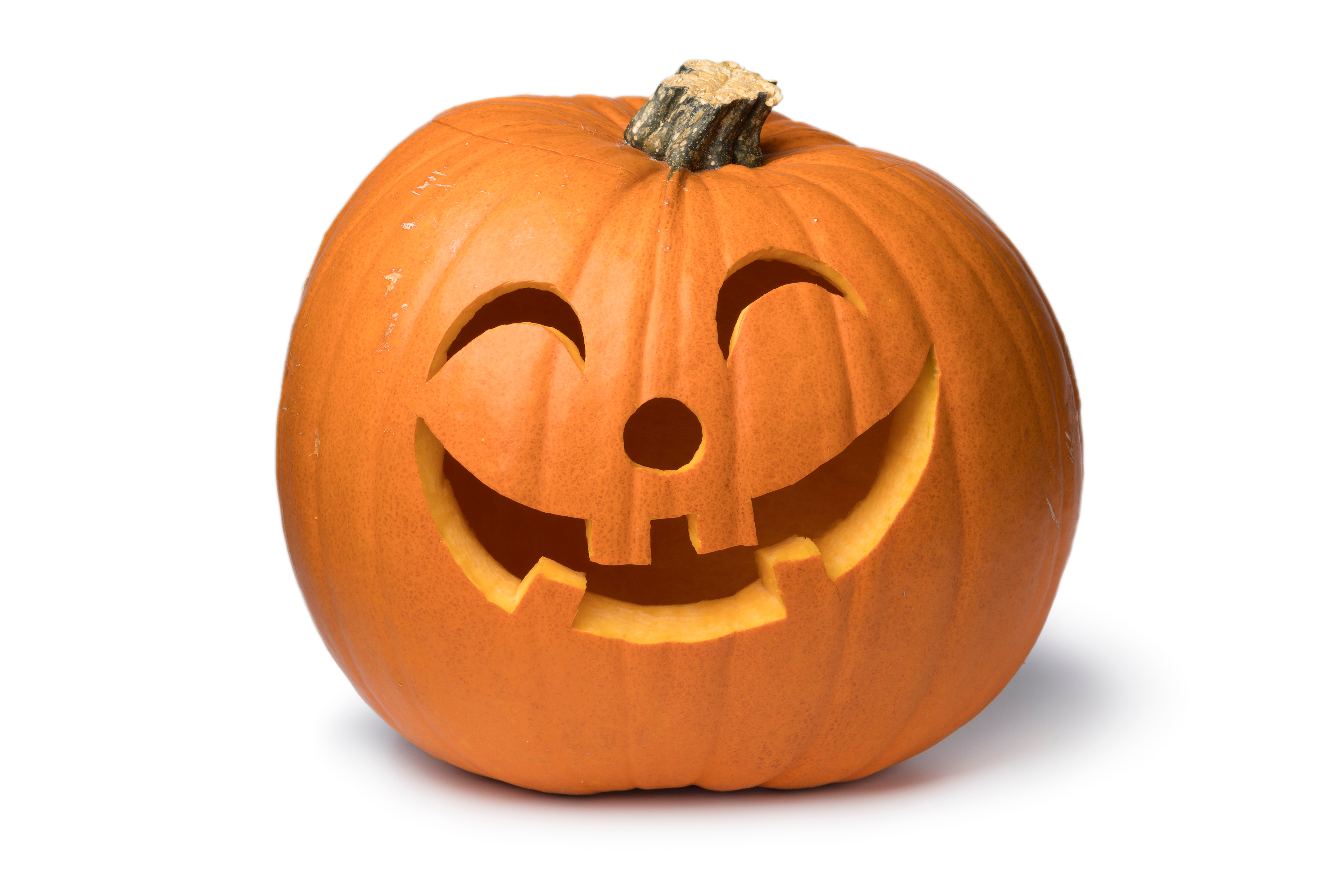 October check in – The Information Professional